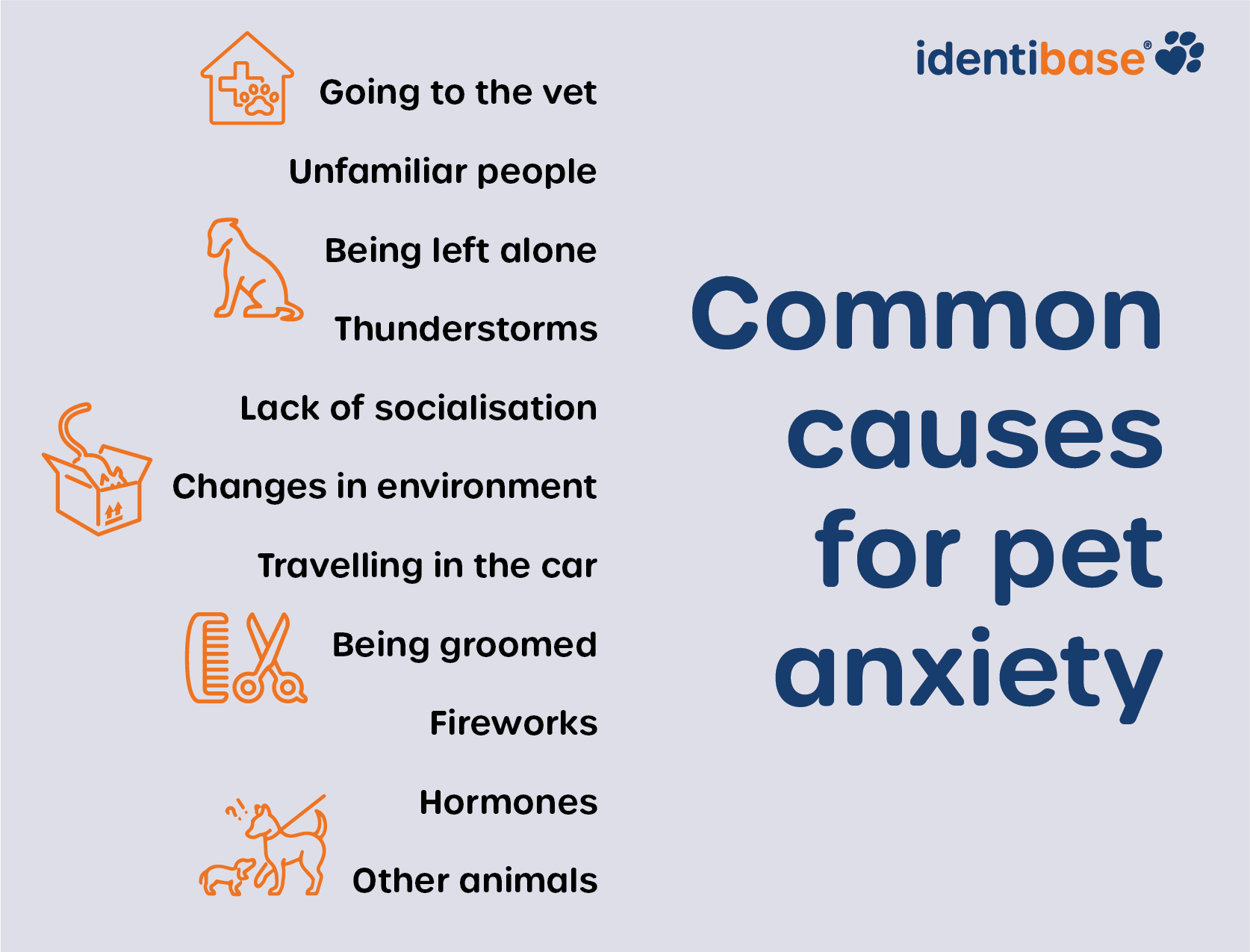 Pet Anxiety Awareness month: Your pet can get stressed too ...