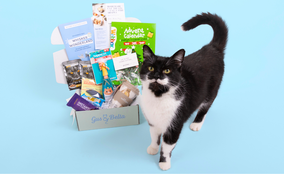 5 Christmas Gift Ideas Your Cat Will Love – identibase Blog