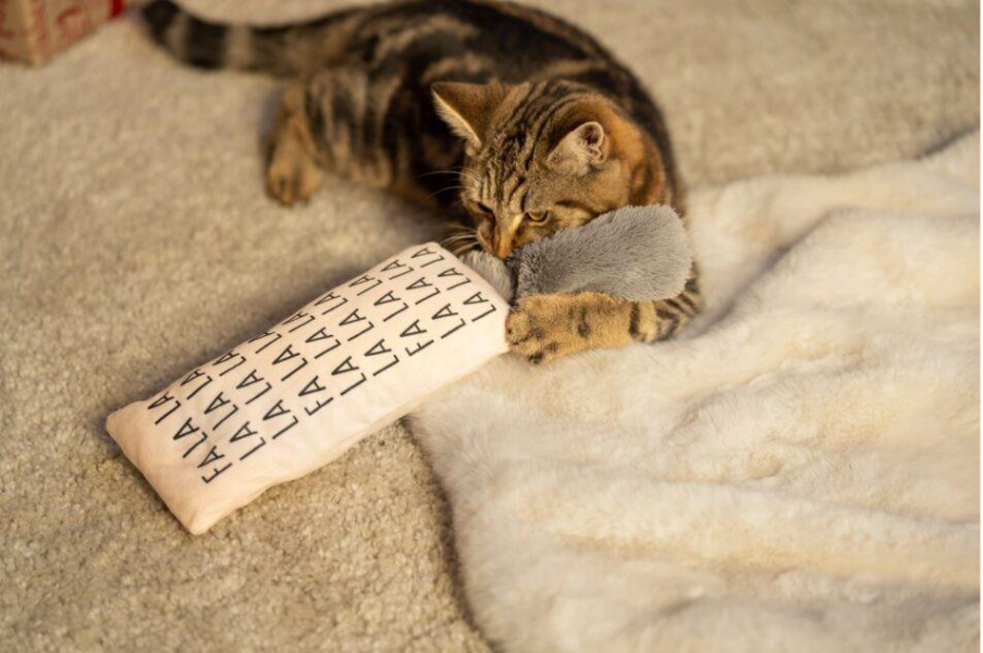 Your Cat’s guide to Christmas – identibase Blog